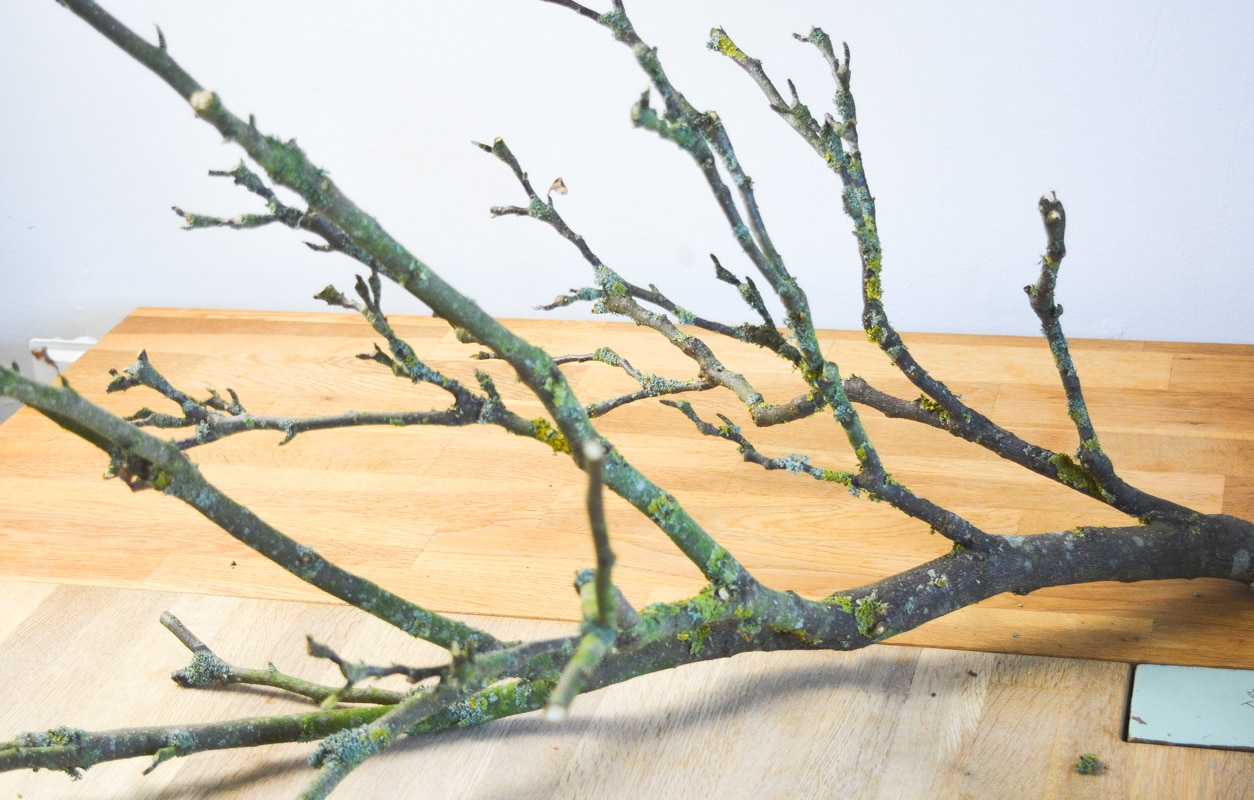 Alternative Christmas Tree from tree branches · VickyMyersCreations