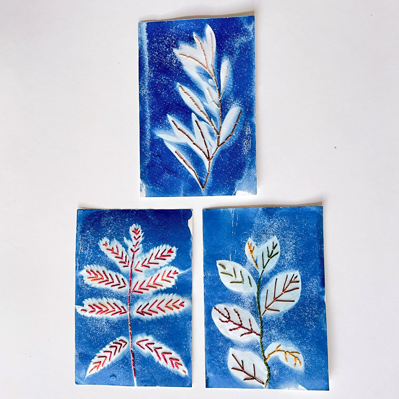 How to make stylish Cyanotype art prints · VickyMyersCreations